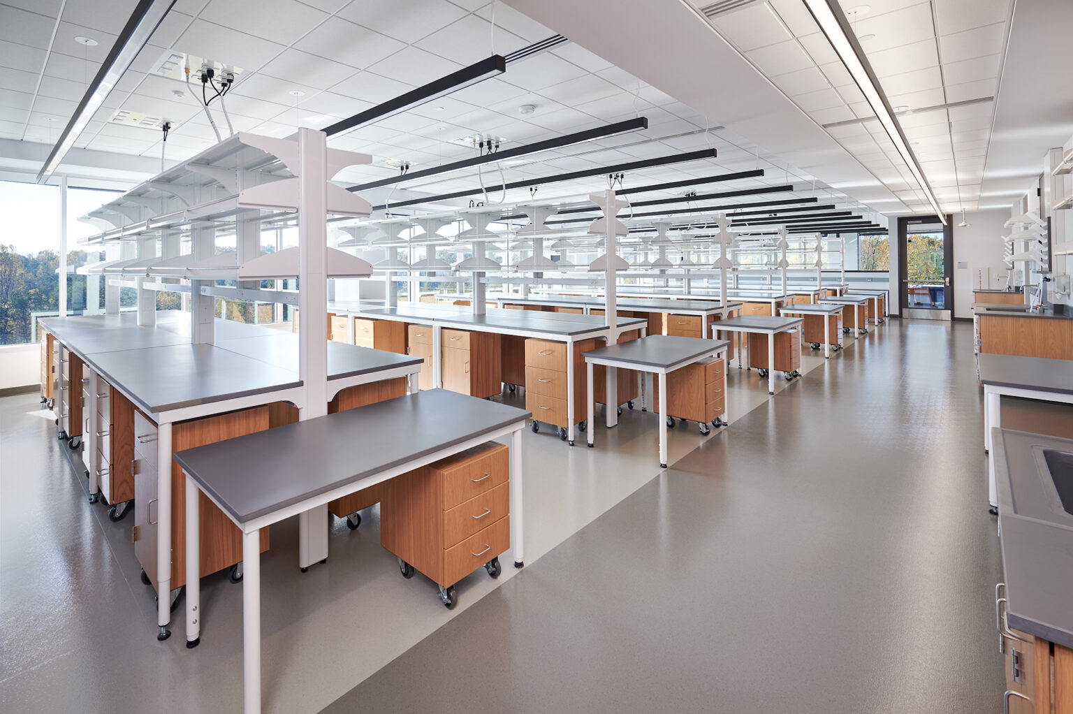 CvilleBioHub Enters Into A Virginia Collaboration Network And Will ...